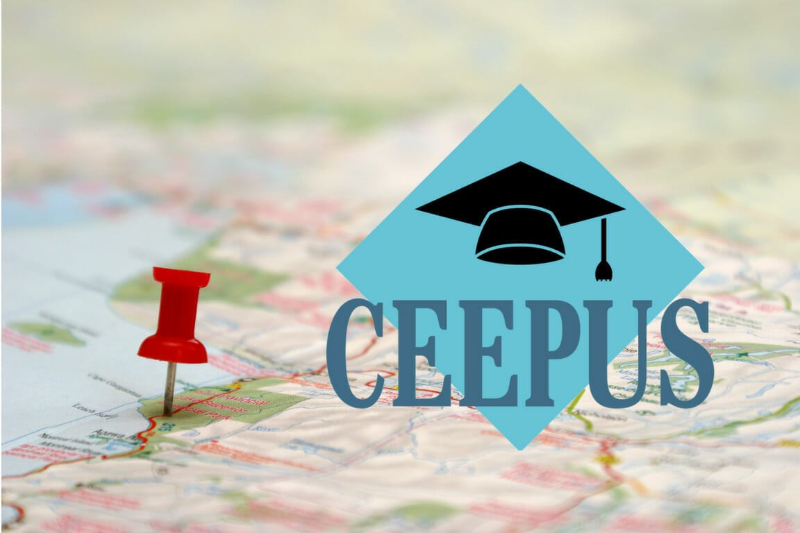 Програма CEEPUS: Възможност за преподавателска мобилност през летния ...